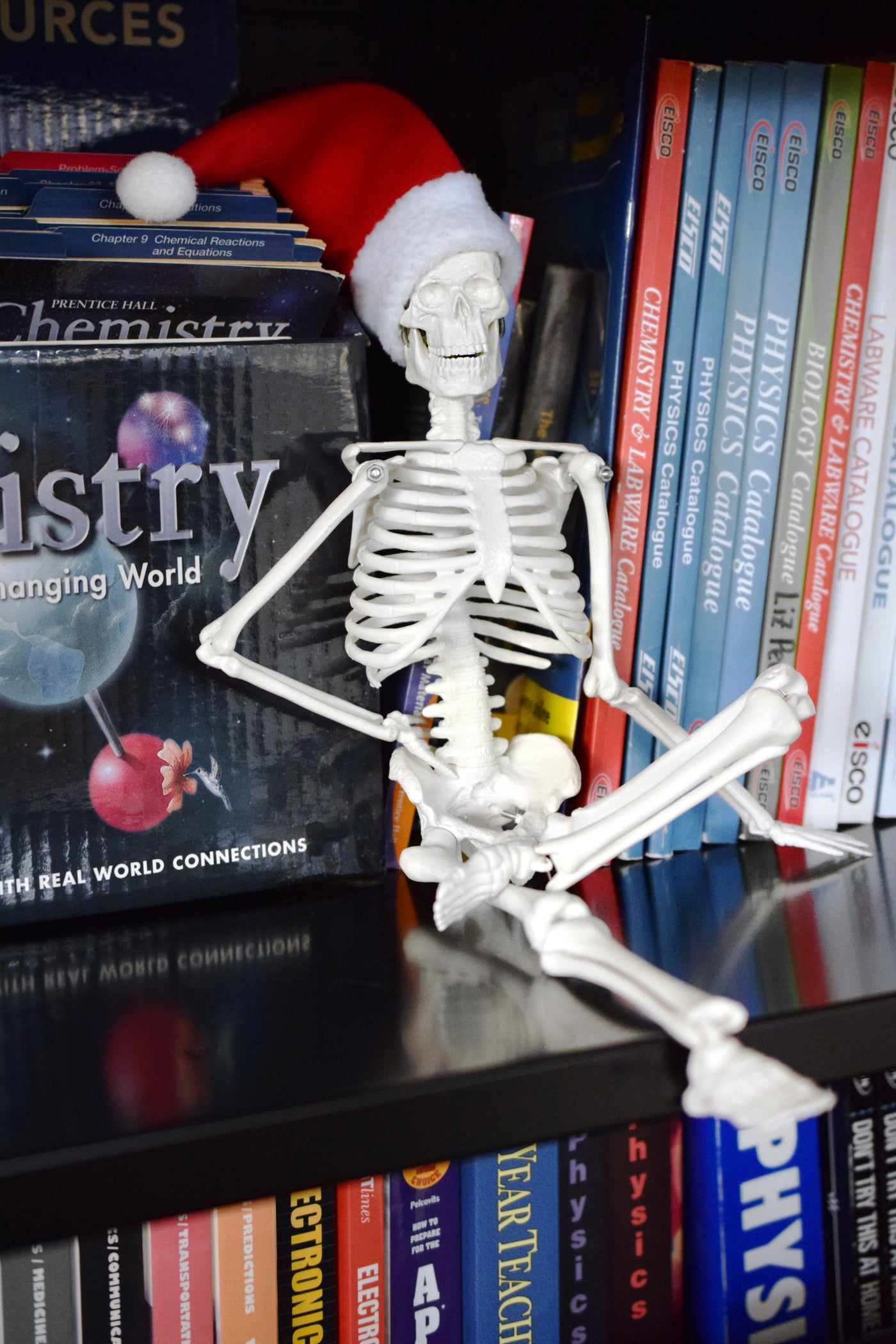 Dead Elf in the Lab, 17 Inch - Miniature Skeleton, Santa Hat & Christm ...
