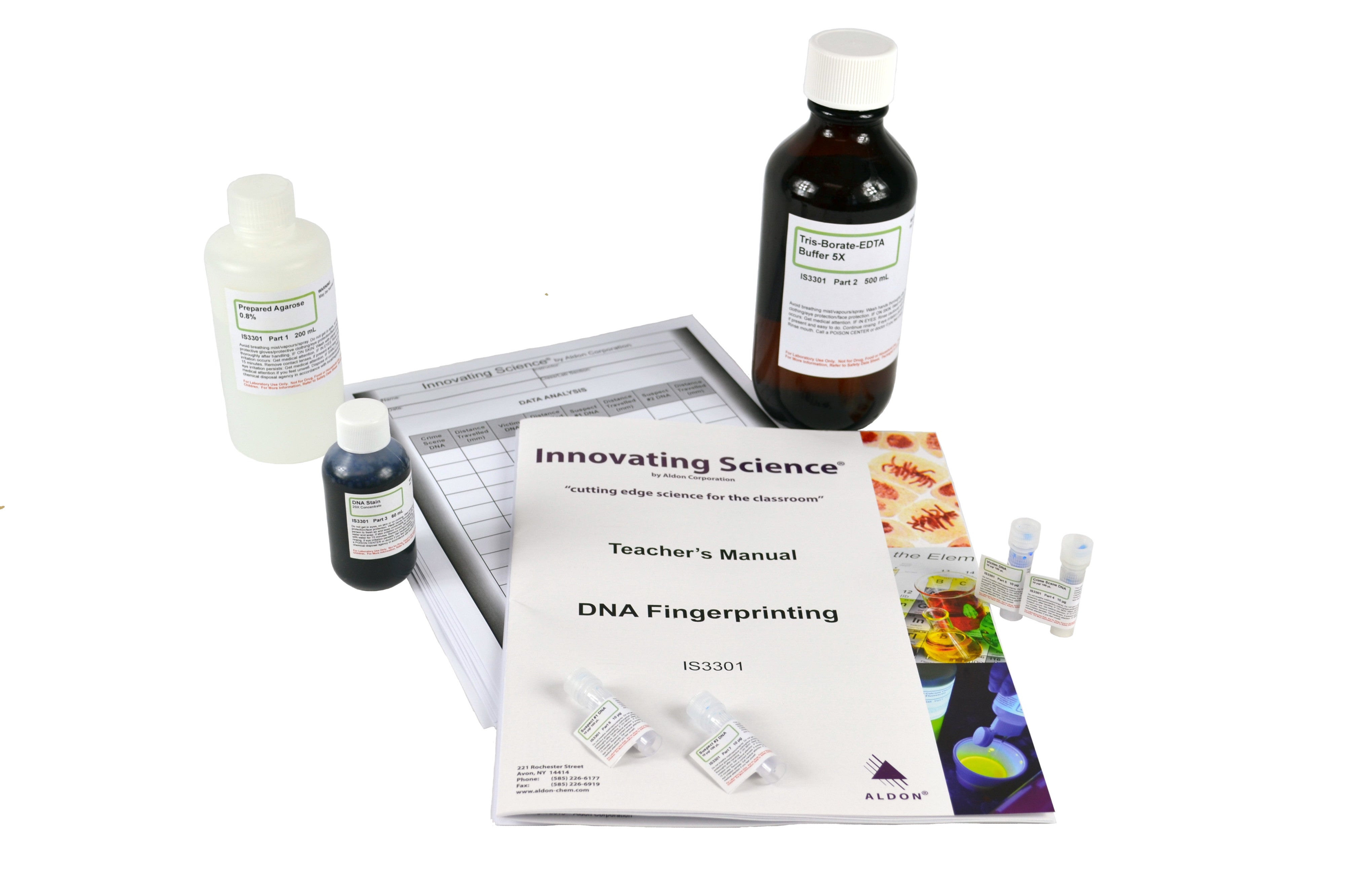 DNA Fingerprinting Electrophoresis Lab Activity — hBARSCI