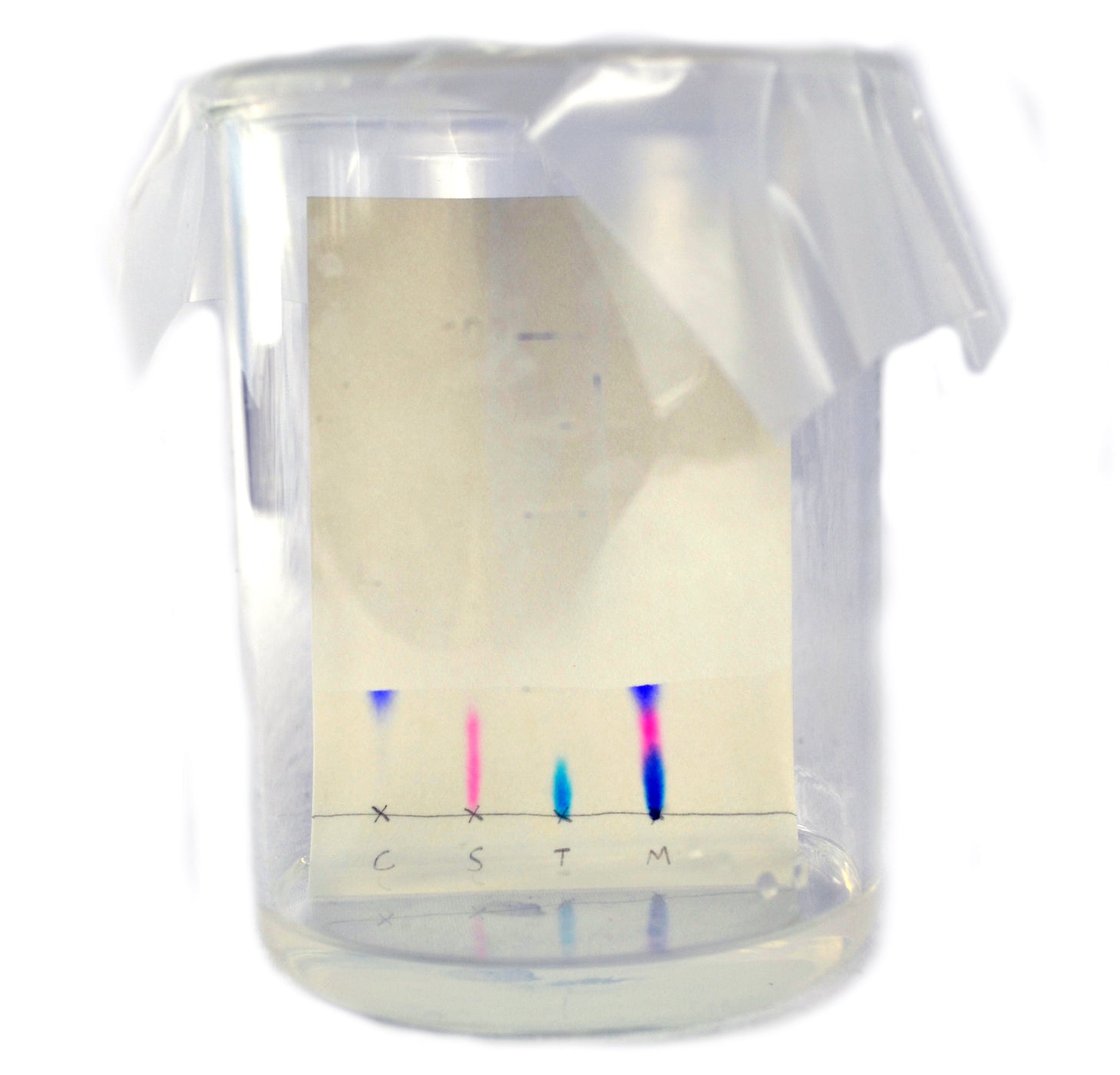 Innovating Science - Paper Chromatography Kit to Separate Chemical Sub ...
