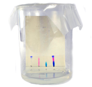 Innovating Science - Paper Chromatography Kit to Separate Chemical Sub ...