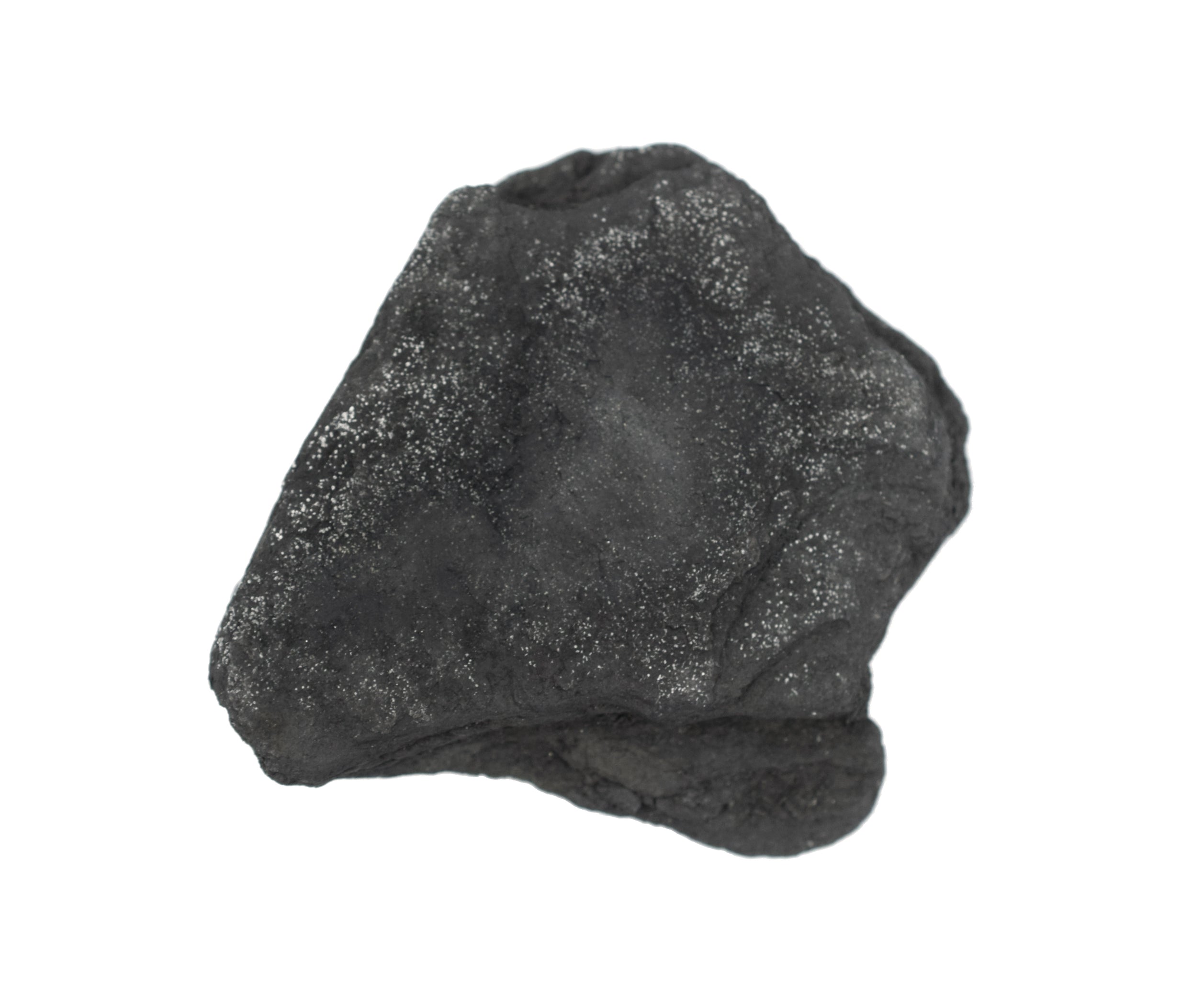 Raw Anthracite Coal, Metamorphic Rock Specimen - Approx. 1" — hBARSCI