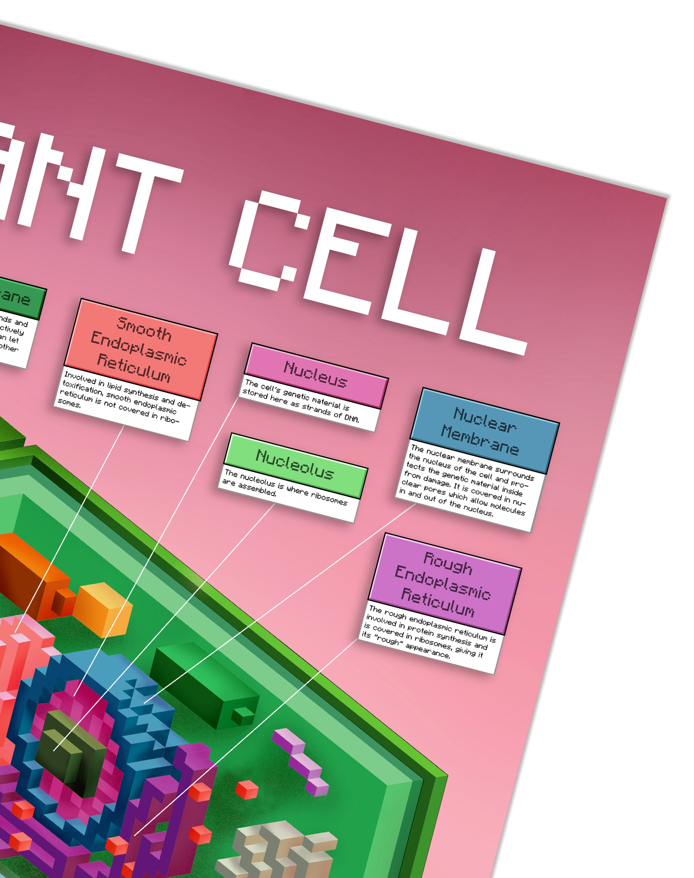 CellCraft Animal Cell & Plant Cell Poster Set - Exclusively at hBARSCI