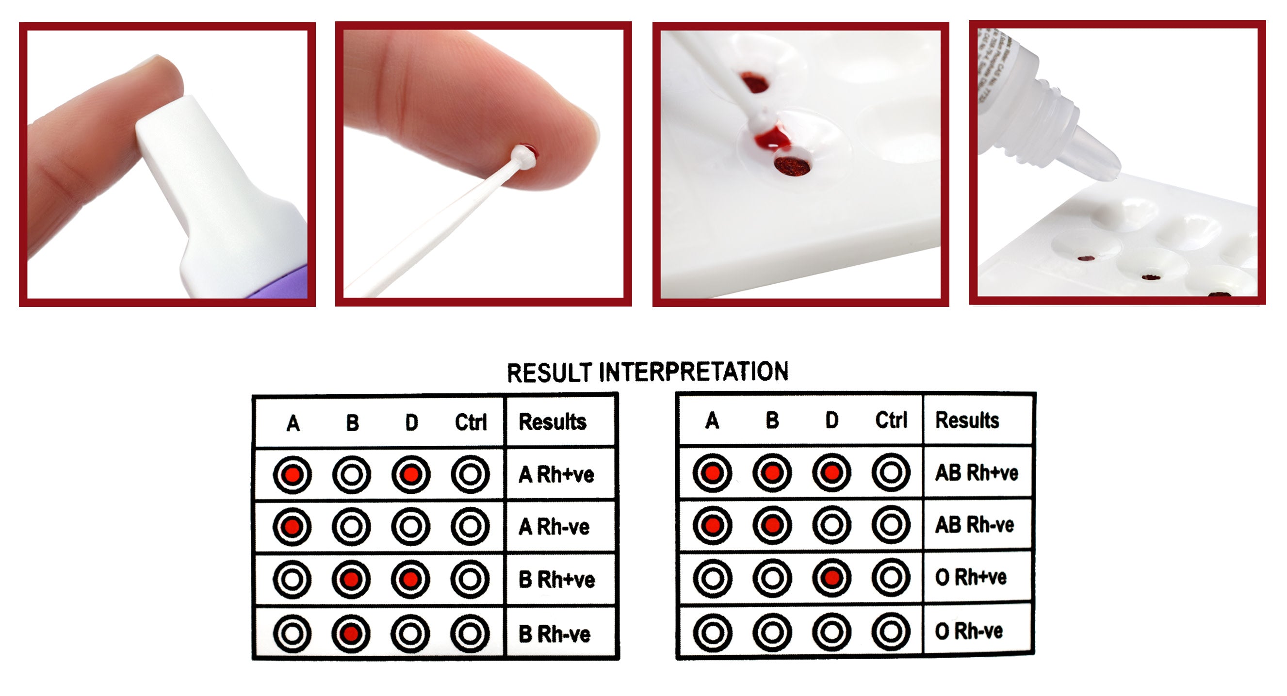 Erycard ABO/RH Blood Typing Card - NOT for Medical / Clinical Use - In ...