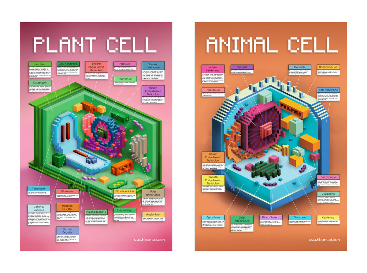 CellCraft Animal Cell & Plant Cell Poster Set - Exclusively at hBARSCI
