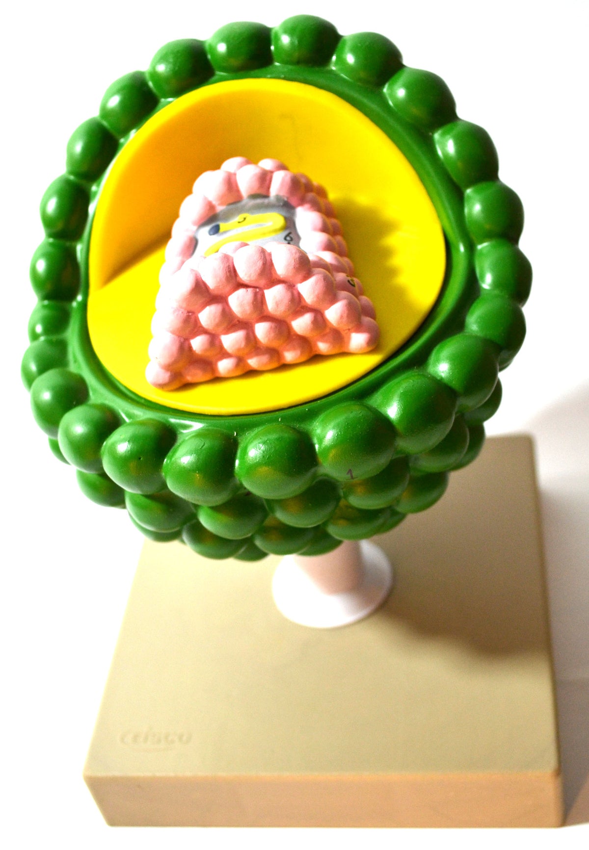 Model Aids Virus — hBARSCI