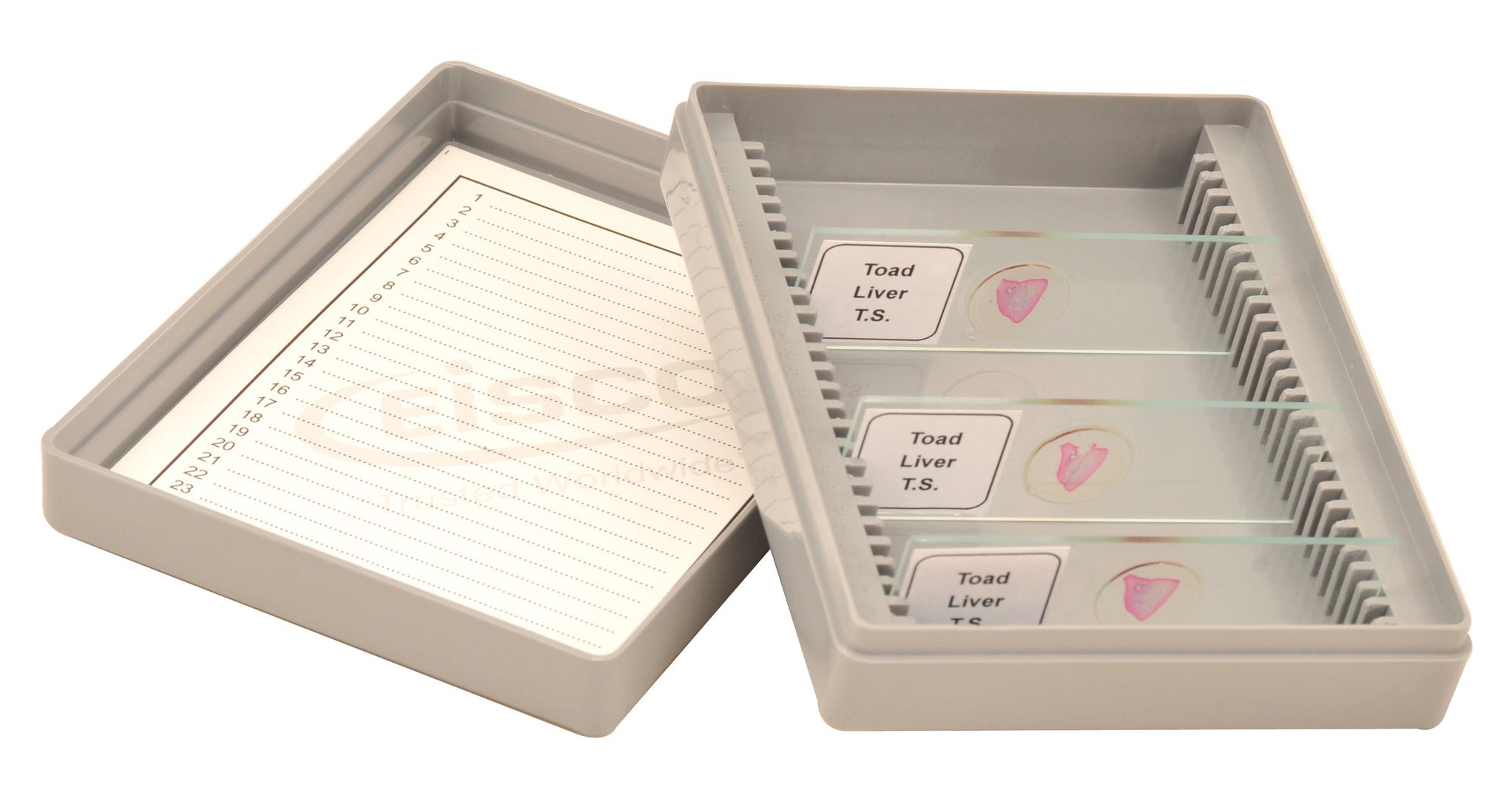 Eisco Labs Slide Box, Polystyrene, 25 Slides — hBARSCI