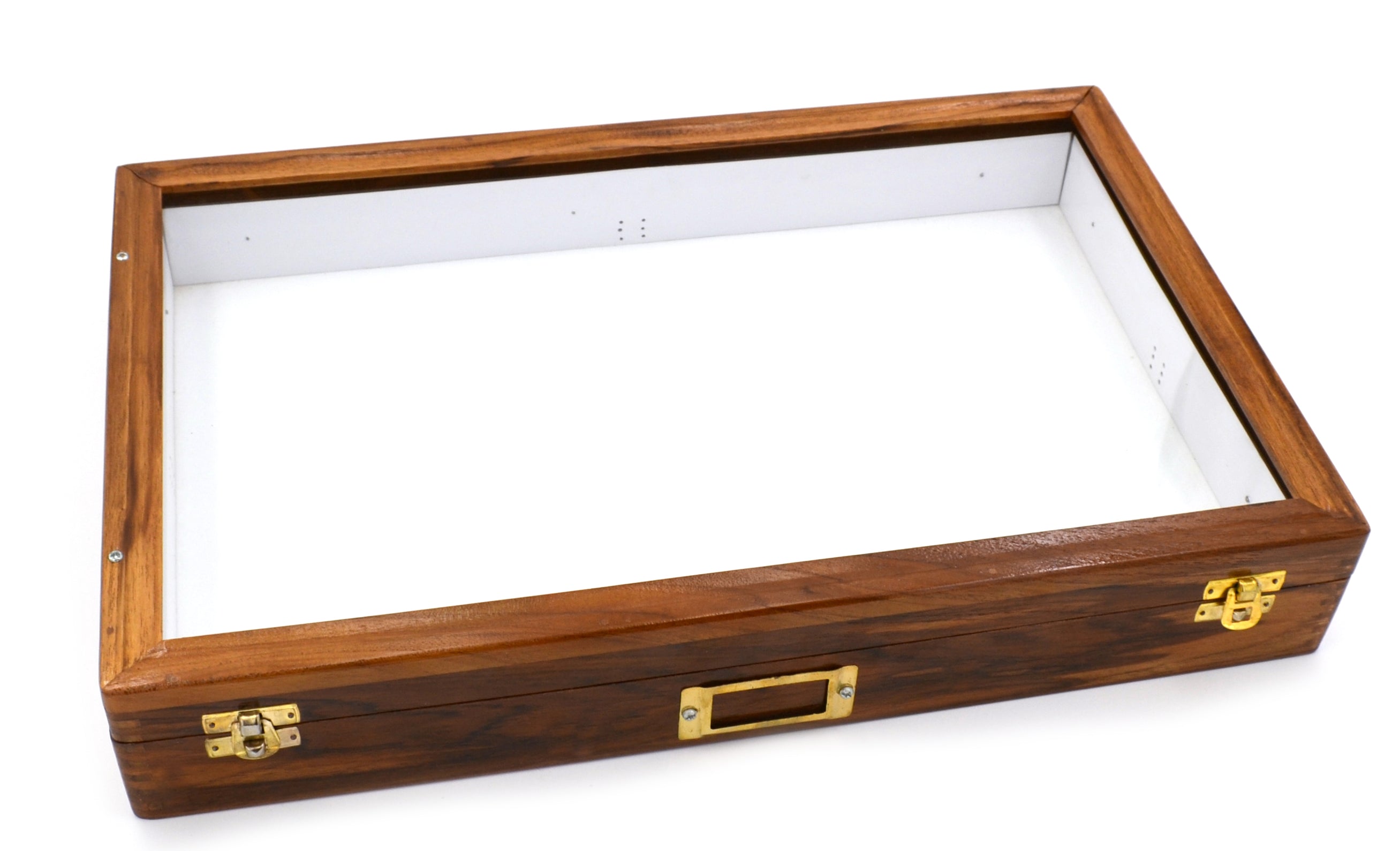 Insect Storage Box, 18 Inch - Polished Wood — hBARSCI