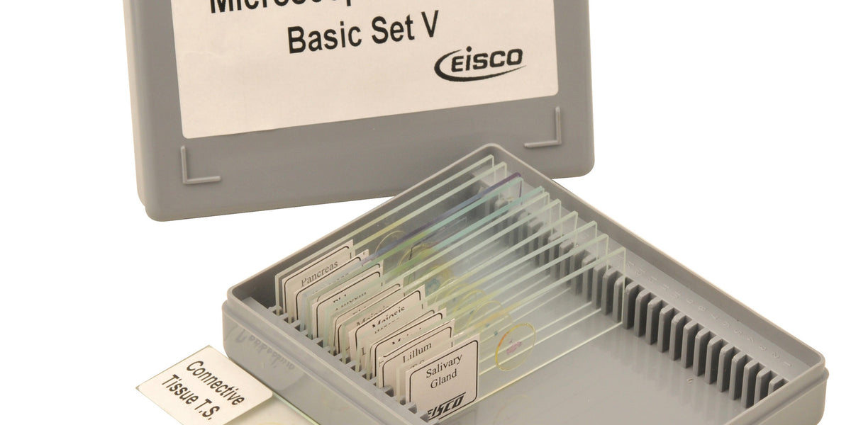 Microscope Slide Set - Basic Set No. V, Set of 15 — hBARSCI