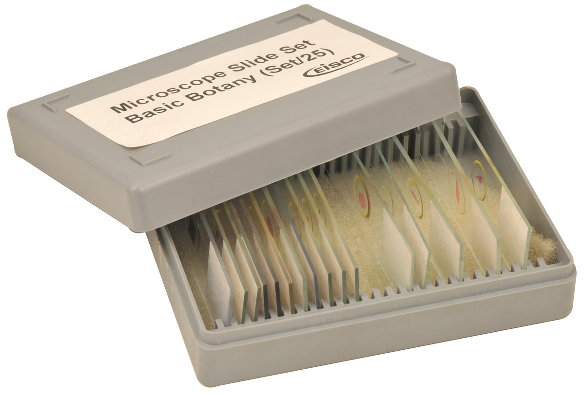 Microscope Slide Set - Basic Botany Models, Set of 25 — hBARSCI