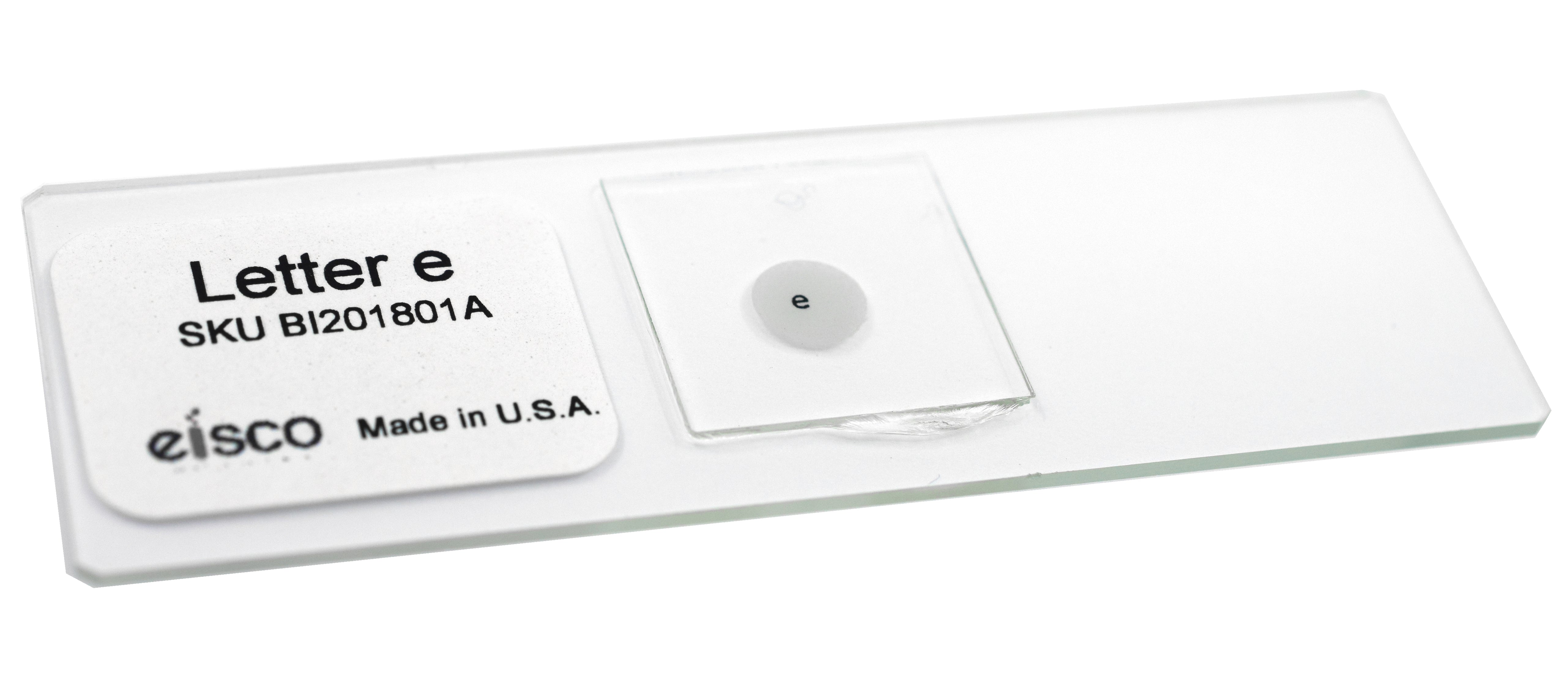 Prepared Microscope Slide, Letter 'e' - 75x25mm - Intro Microscopy ...