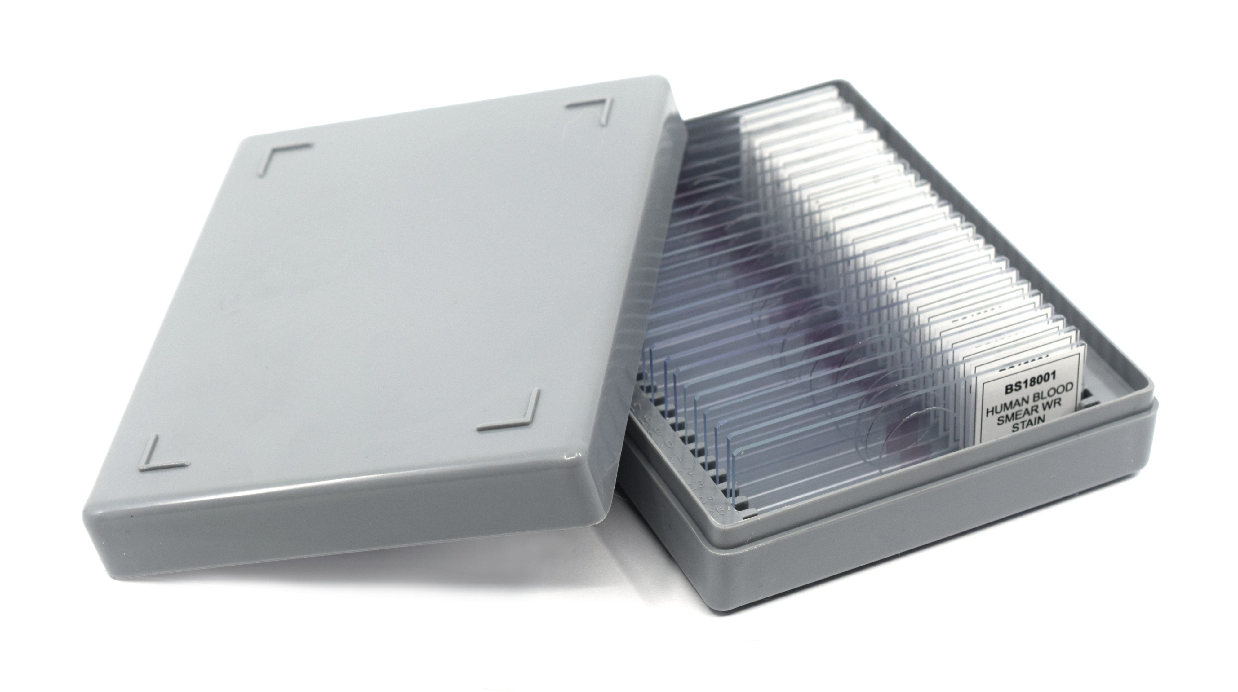 Zea mays Stem - Prepared Microscope Slide - 75x25mm — hBARSCI