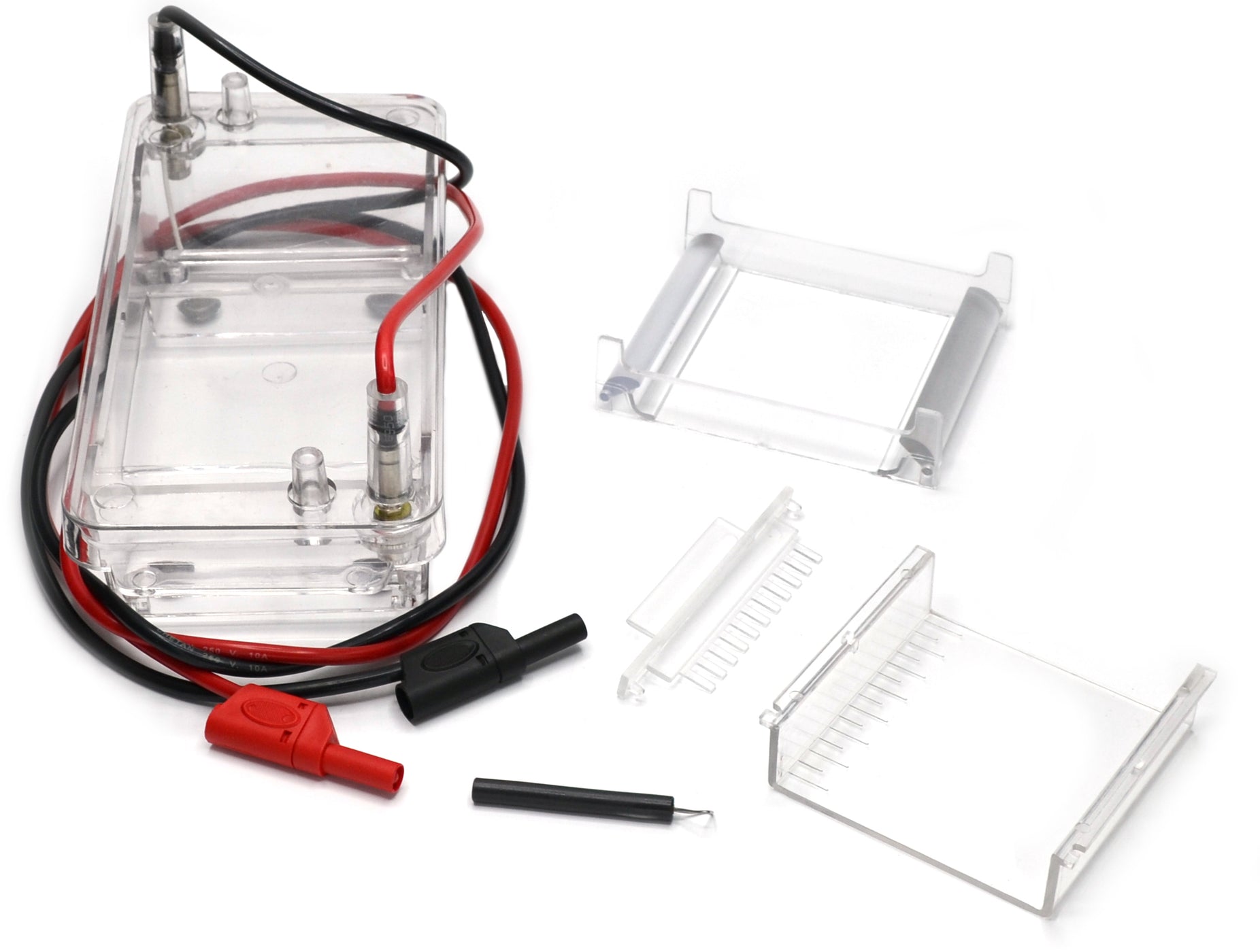 Electrophoresis Tank for Agarose Gel DNA Experiments - Eisco Labs — hBARSCI