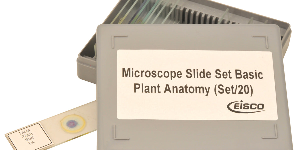 Plant Anatomy Microscope Slide Set - 20 Slides in Plastic Storage Box ...