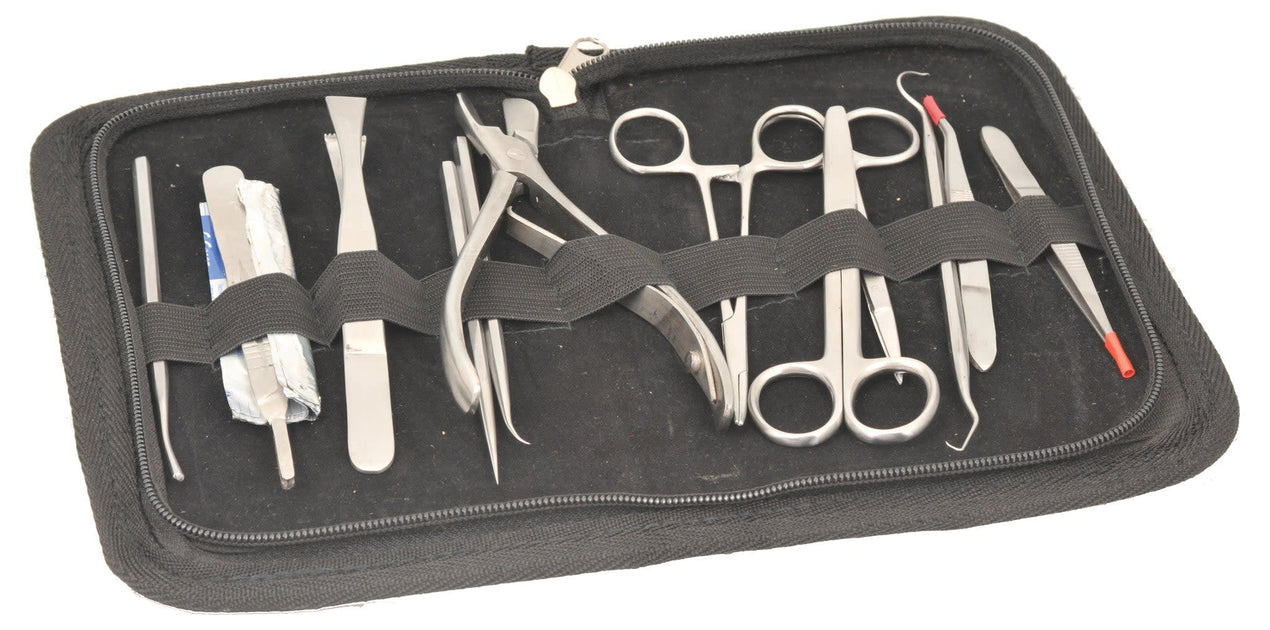 12 Pcs Instructor's Dissection Instrument Set - Stainless Steel - hBARSCI