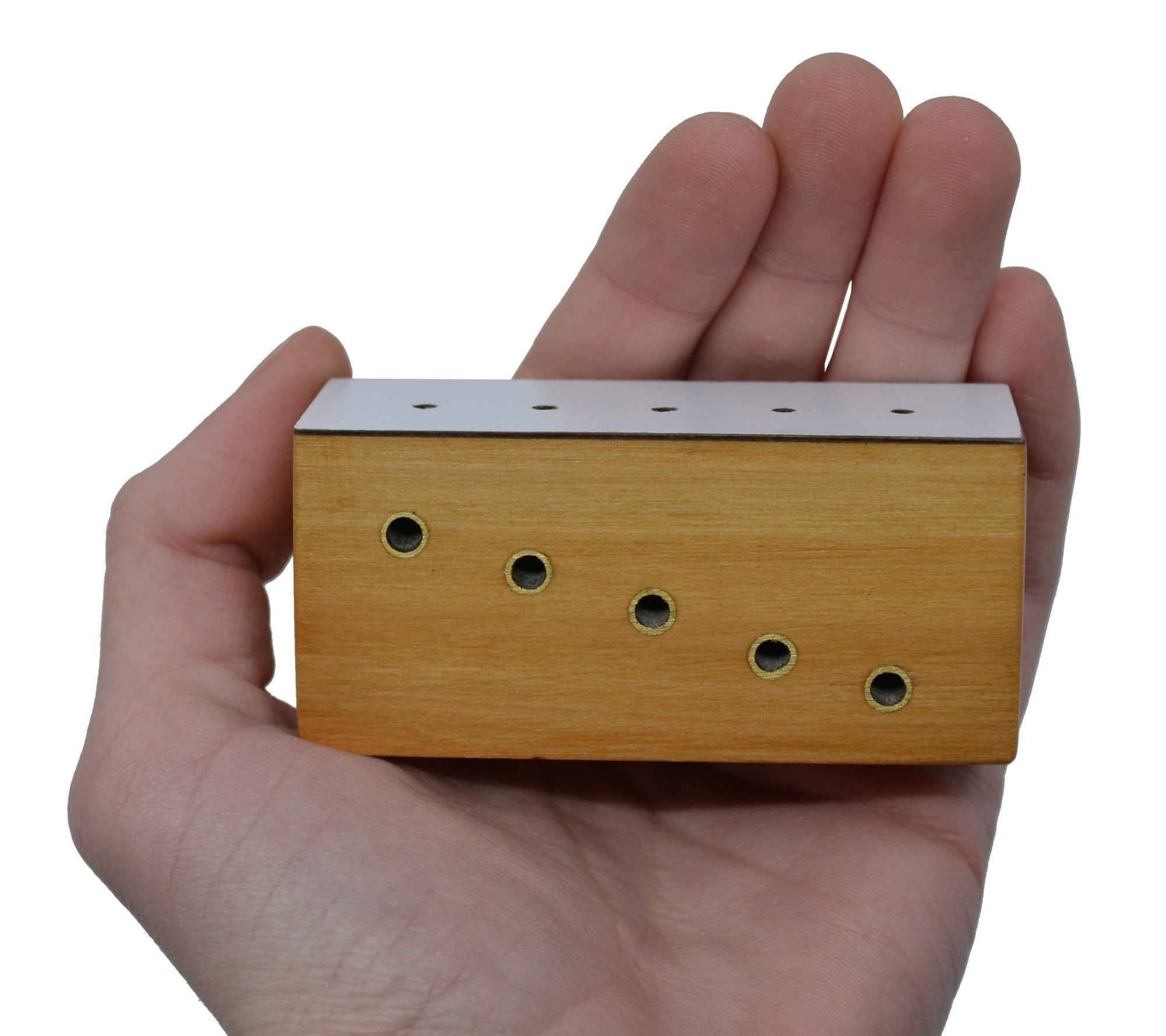 Hardwood Insect Pinning Block, 5 Holes with Different Heights — hBARSCI