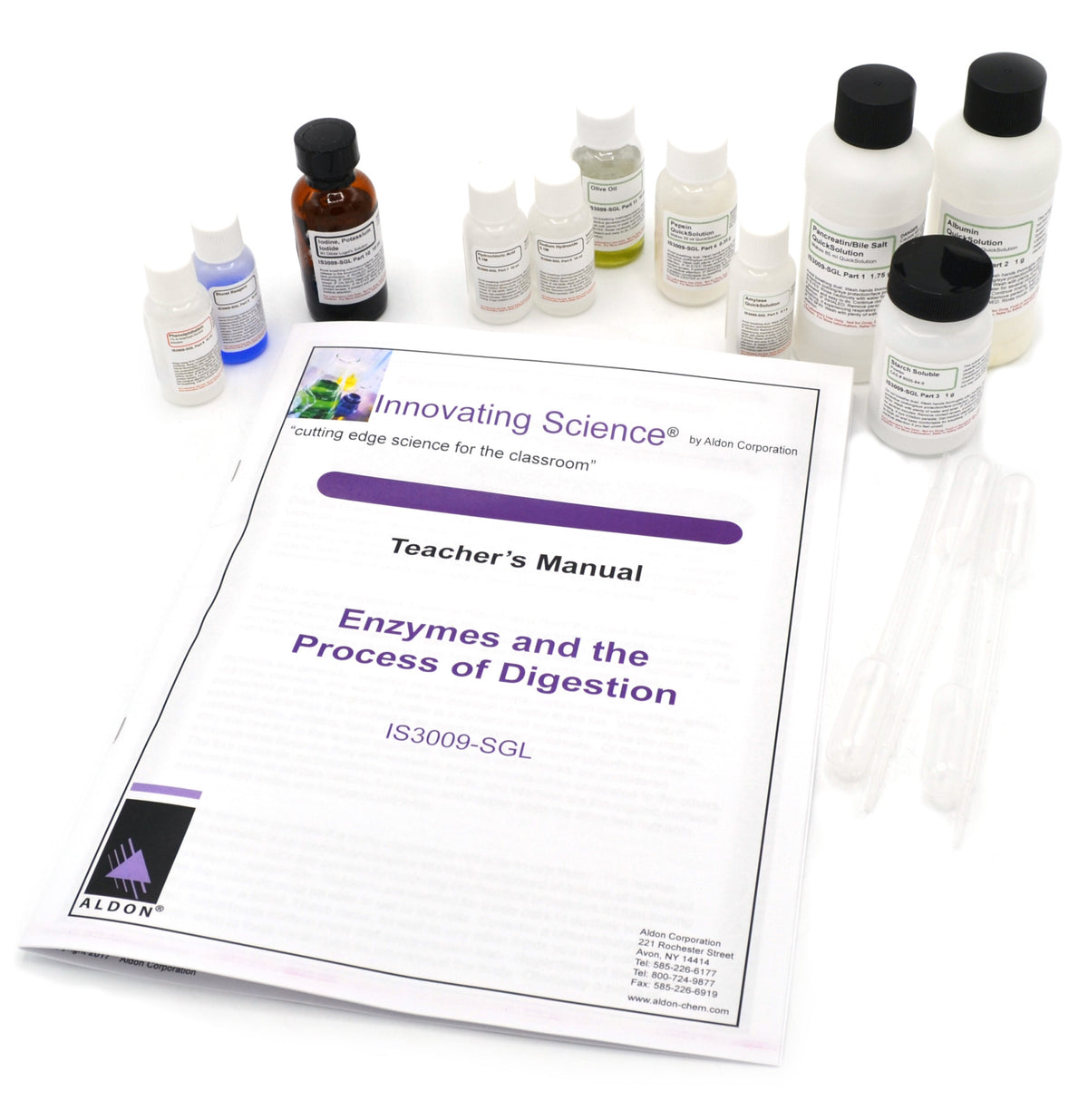 Enzymes and the Process of Digestion Kit: Small Group Learning by Inno ...
