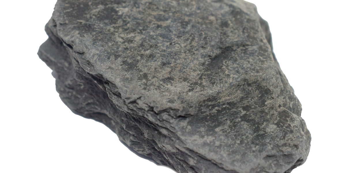 Raw Carbonaceous Shale, Sedimentary Rock Specimen, ± 1" — hBARSCI