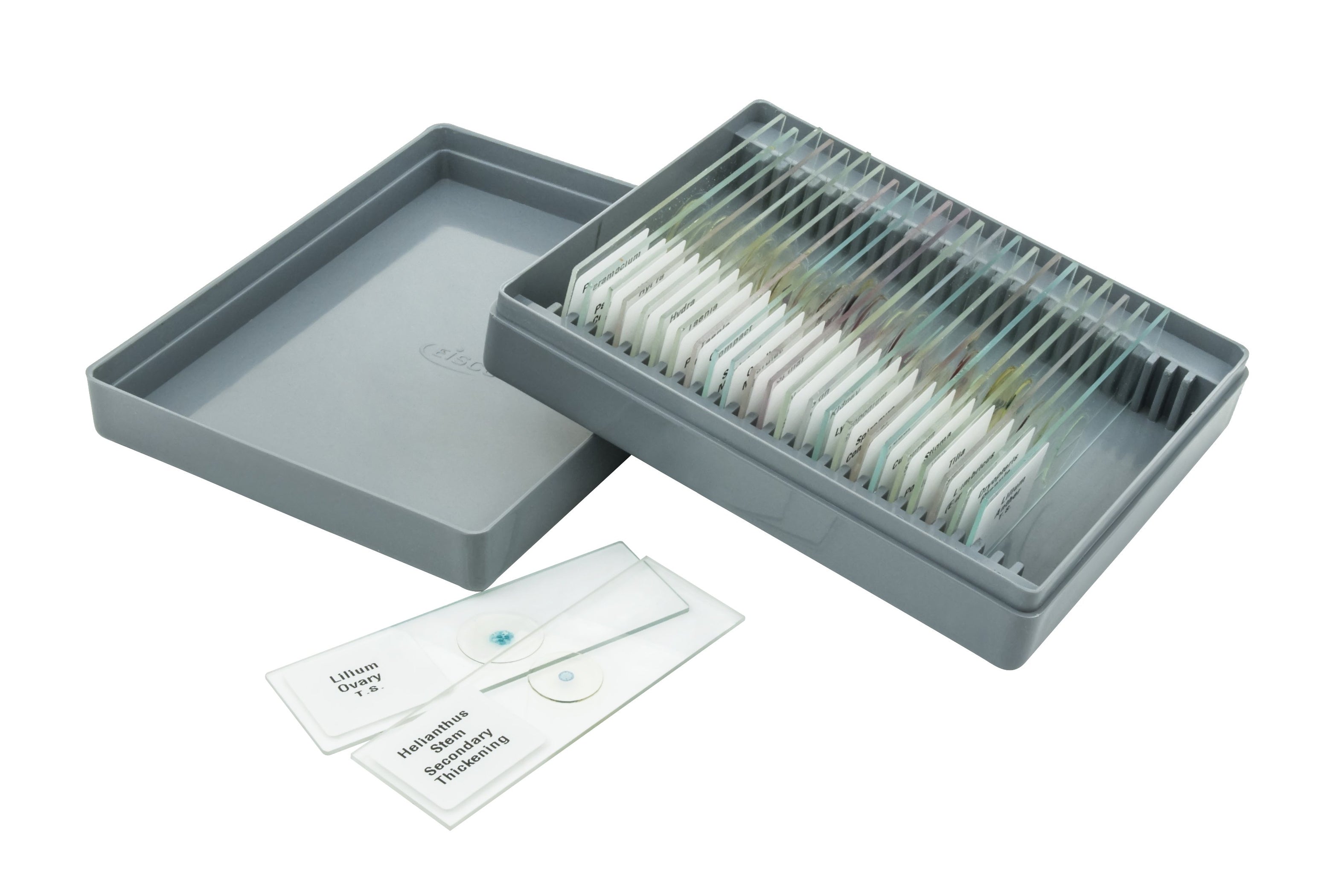Microscope Slide Set - Biology, Set of 25 — hBARSCI
